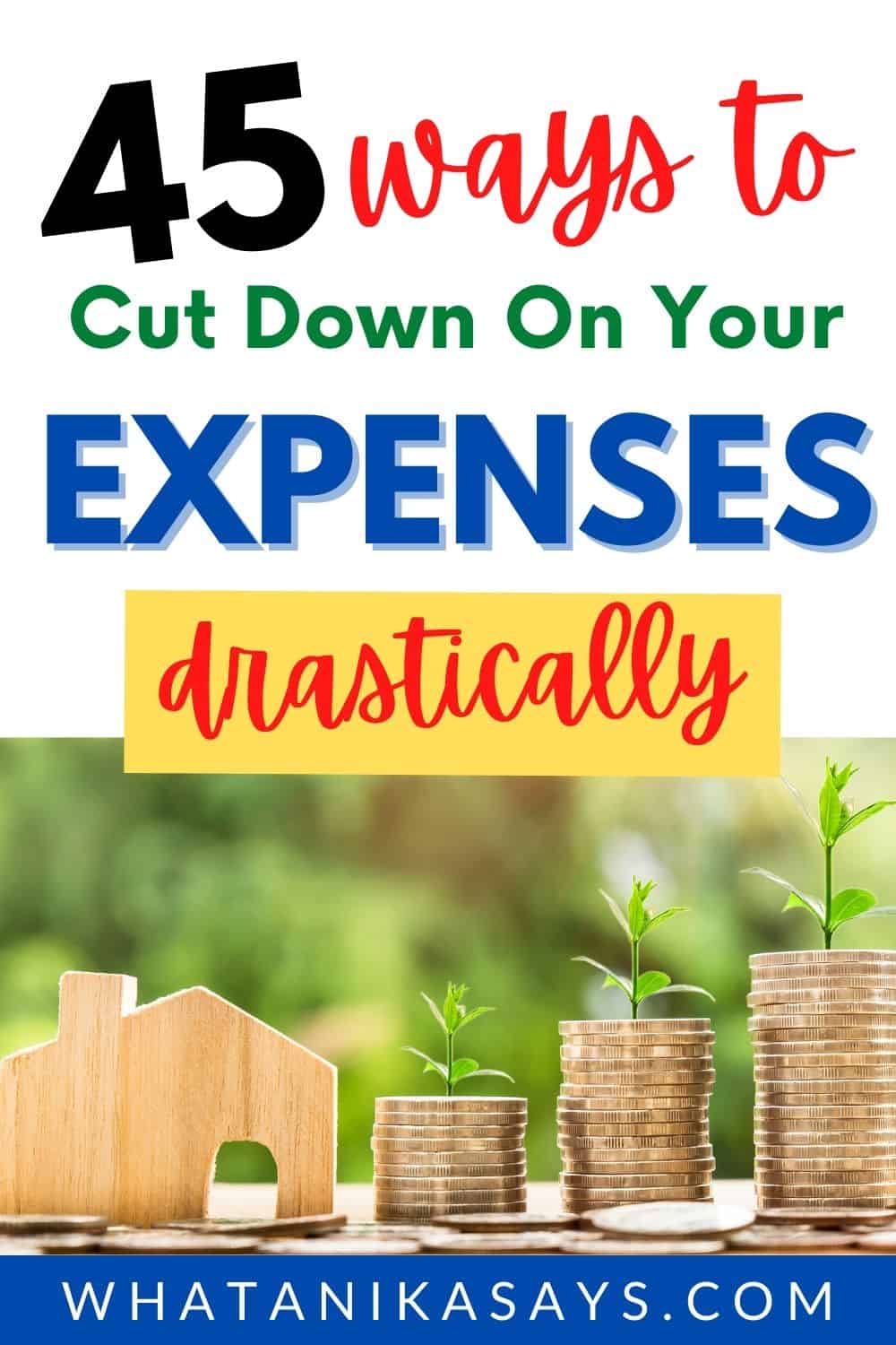How to drastically cut expenses ( in 45 easy ways) - What Anika Says