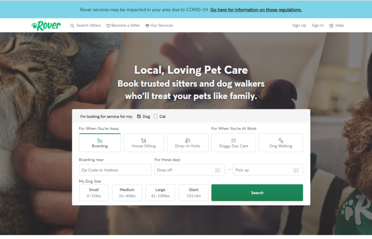 70+ Rover Headline Examples For Pet Sitters and Profile Setup Tips ...